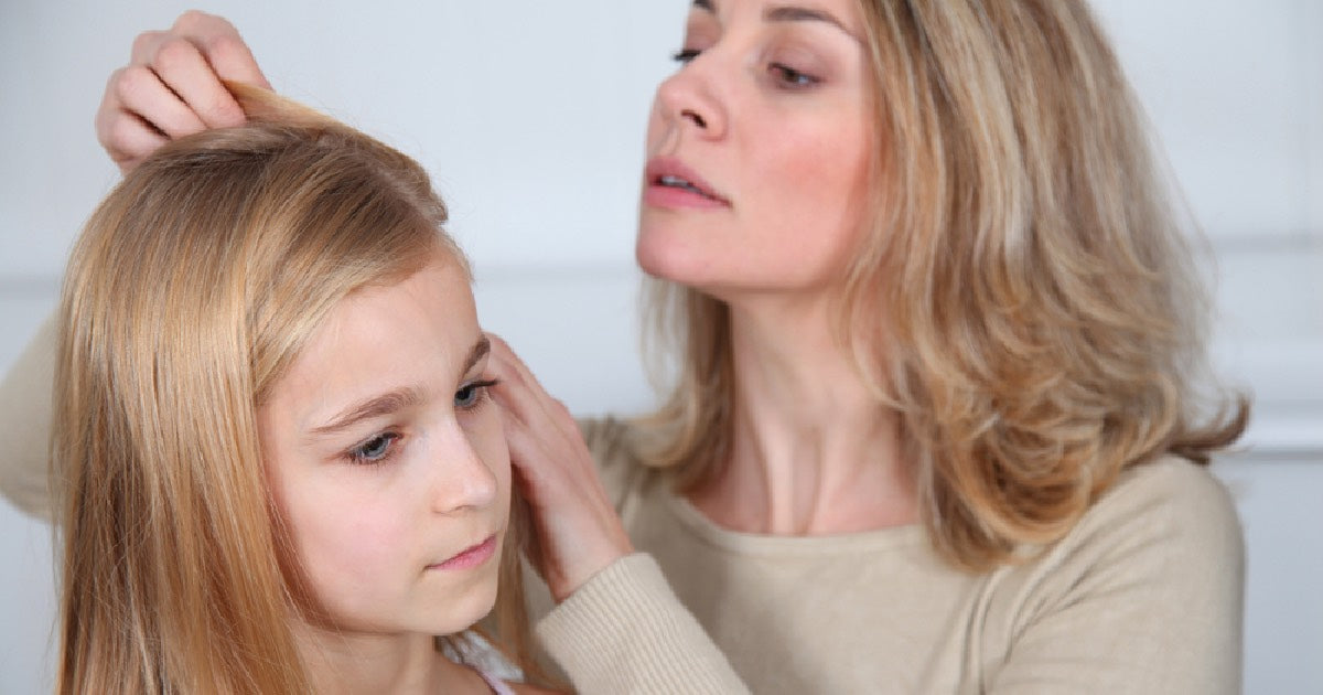 WHAT HAPPENS IF YOU IGNORE A HEAD LICE INFESTATION? – My Hair Helpers ...