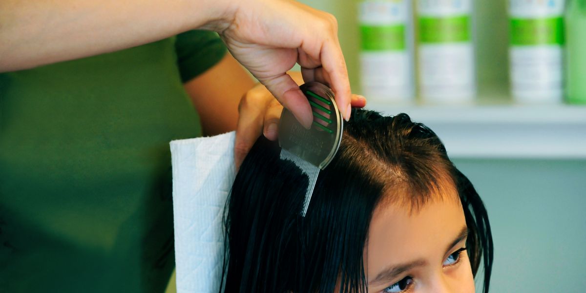 THIS NIT COMB REMOVES SUPER LICE – My Hair Helpers Natural Head Lice ...